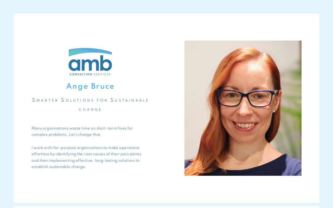 AMB Consulting Services